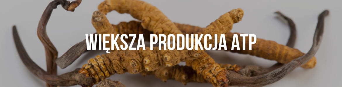 Shroom Force - Cordyceps sinensis ATP Suplement Diety